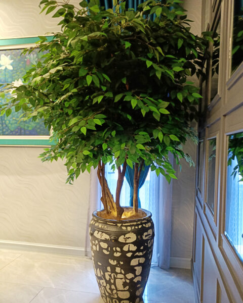 Artificial Ficus & Cherry Blossom Tree In Bulky Pot - EF Decor Studio